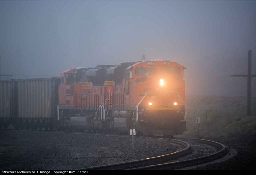 BNSF 8589 8785 Coal Empties